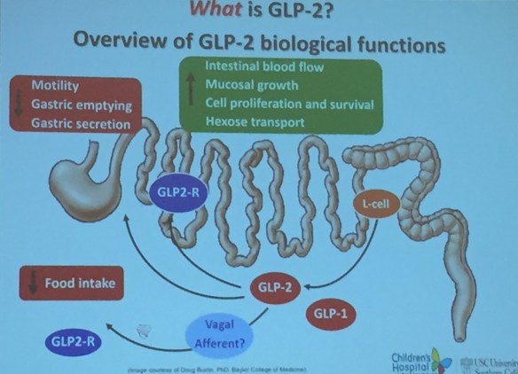 #NASPGHAN19 Intestinal Failure Session Part 2 | gutsandgrowth