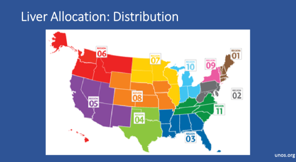 #NASPGHAN19 Liver Symposium (Part 4) | gutsandgrowth