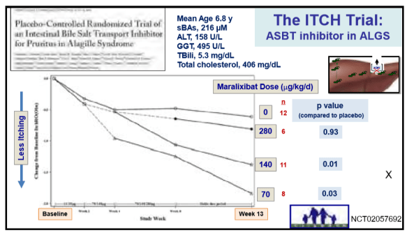#NASPGHAN19 Postgraduate Course (Part 4) | gutsandgrowth