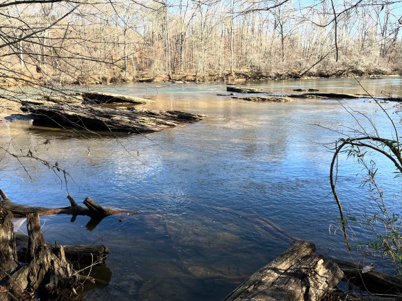 The Eosinophilic Esophagitis Diagnostic Cup is Half Empty with the ...